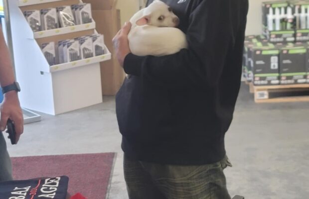 image012 | ROCK 102 WAQY